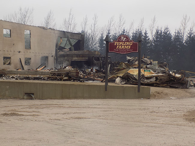 Fire rips through Tupling Farms potato facility | Orangeville Citizen