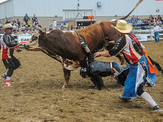 Ram Rodeo returning to Orangeville Fairgrounds for bull riding, bucking ...